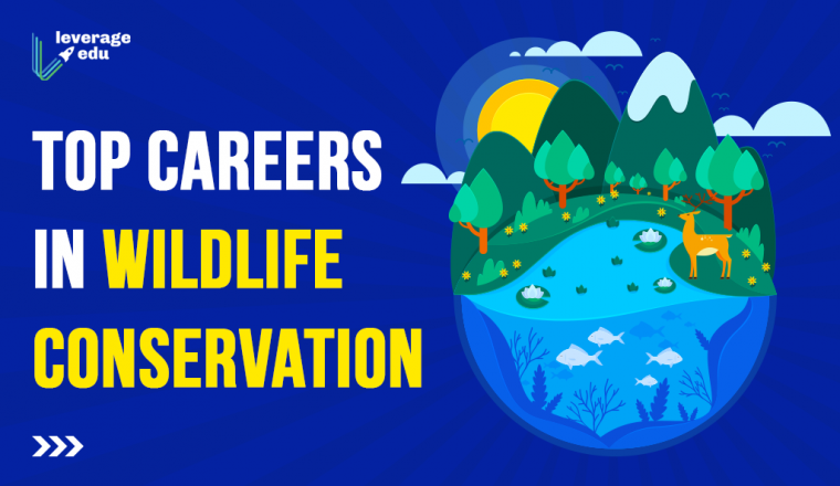 Environmental Conservation: Definition, Importance, UPSC