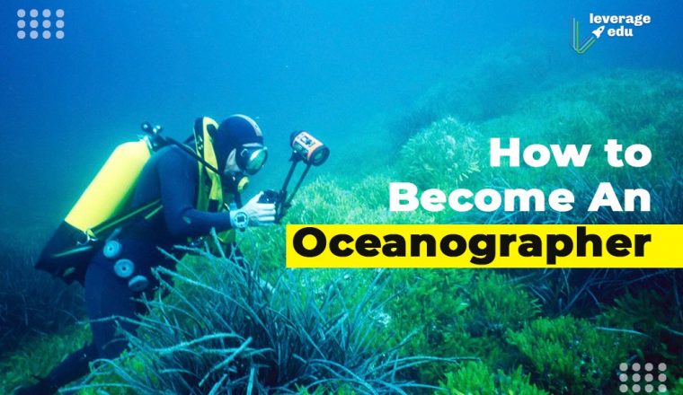 How to Become a Customs Officer in India?