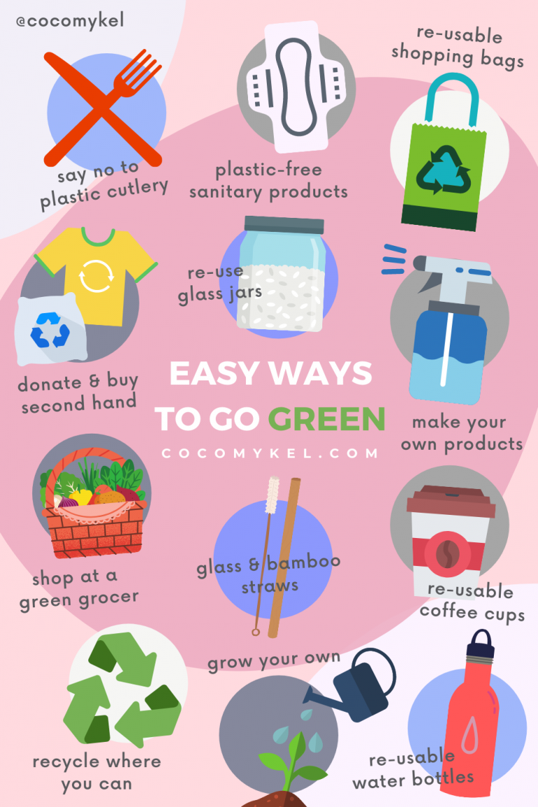 Environmental Conservation: Definition, Importance, UPSC