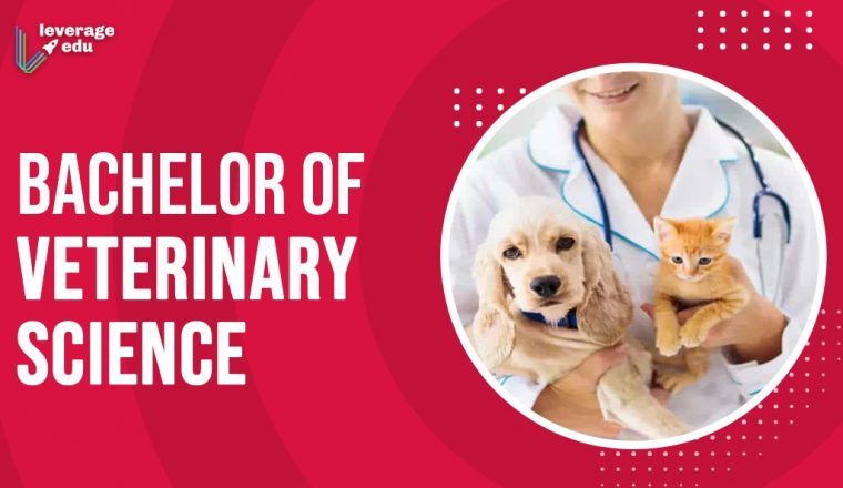 Complete List of BA Subjects with Specializations for 2025