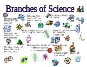 Branches of Science: Types, Fields & 10 Major Science Branches