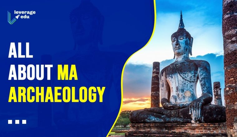 Top 11 Branches of History: Cultural, Political, Social, Arts ...