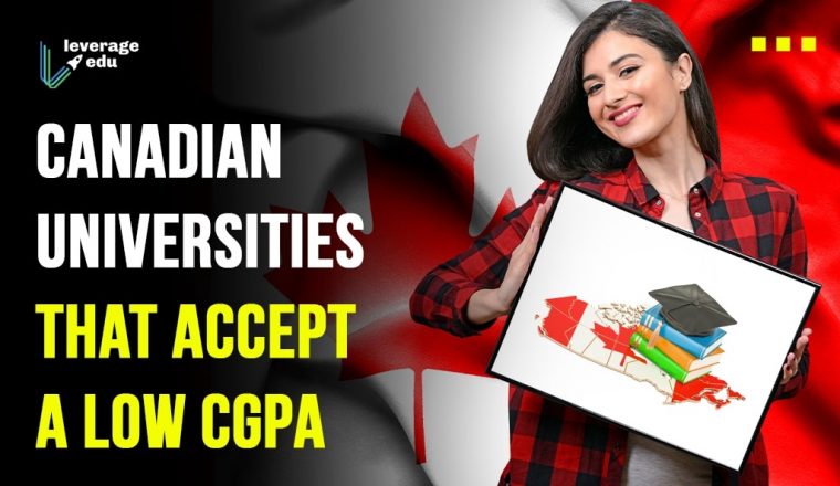 Becoming a Personal Support Worker (PSW) in Canada: A Complete Guide