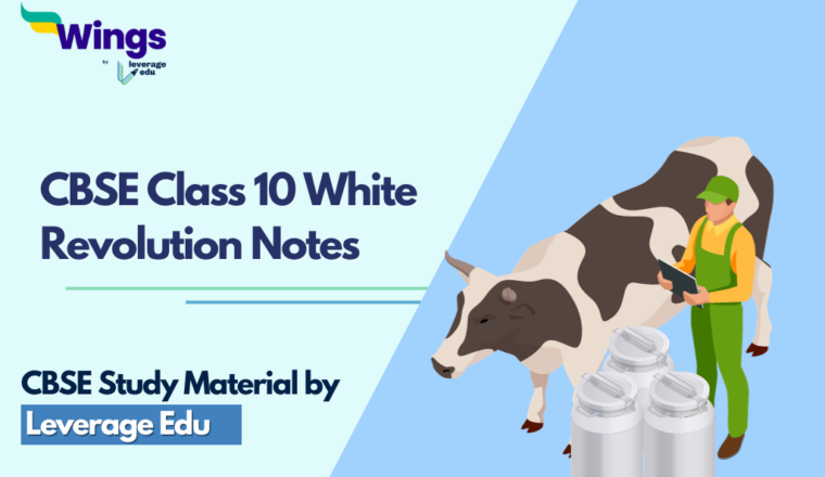 Top 11 Branches of History: Cultural, Political, Social, Arts ...