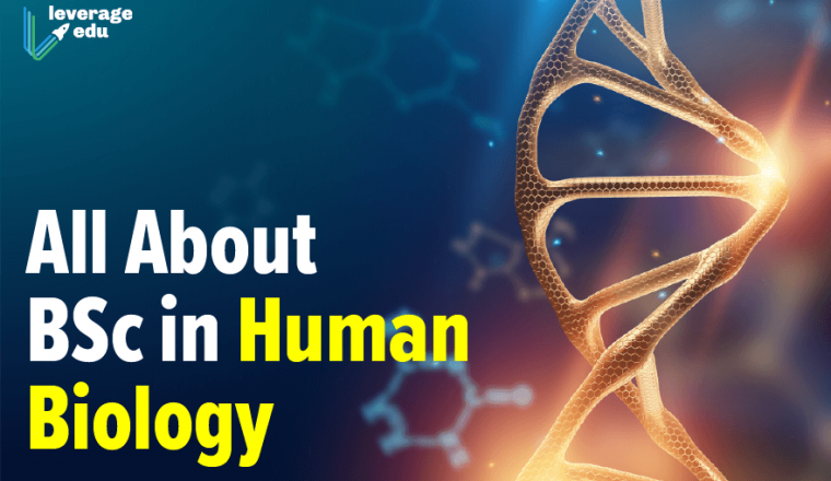 Difference Between BSc and BSc Hons. (Honours) | Leverage Edu