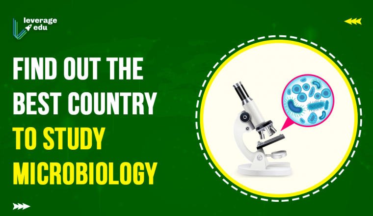 Courses After BiPC: After Inter BiPC Courses List 2025