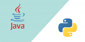 Python vs Java: 6 Key Comparisons and When to Use | Leverage Edu