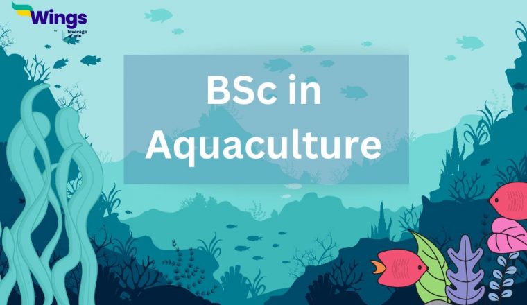 Difference Between BSc and BSc Hons. (Honours) | Leverage Edu