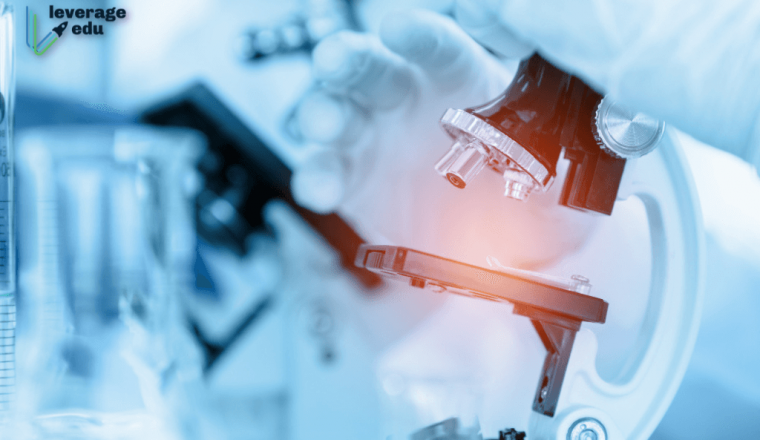 Sample SOP for MS in CS (Computer Science) PDFs - Leverage Edu