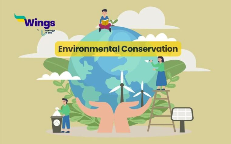 Environmental Conservation: Definition, Importance, UPSC