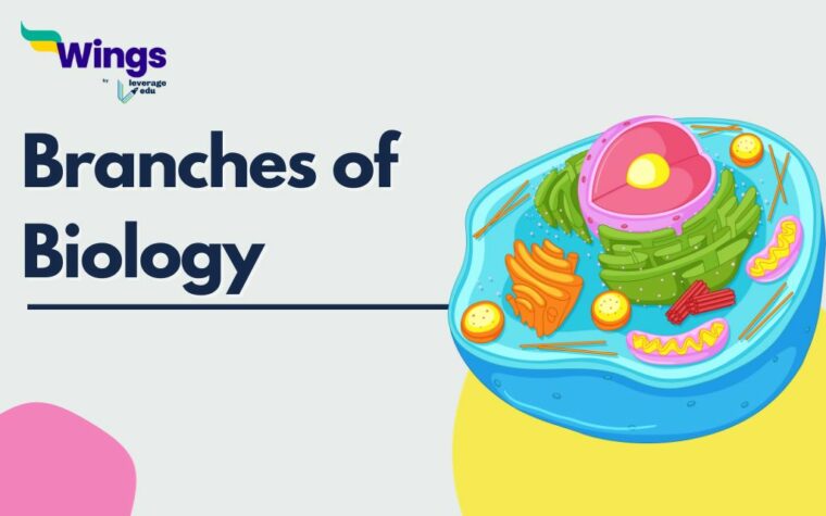 100 Branches of Biology from A to Z: All Branches | Leverage Edu
