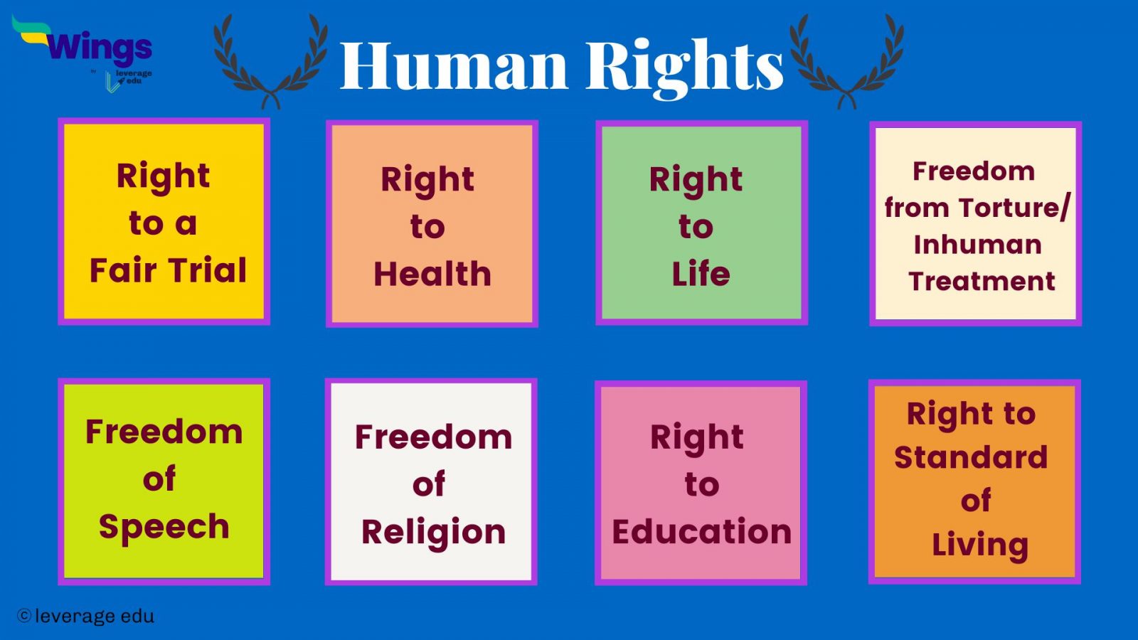 Essay on Human Rights: Samples in 500, 500+ & 1500 Words Leverage Edu