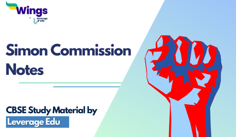 Top 11 Branches of History: Cultural, Political, Social, Arts ...