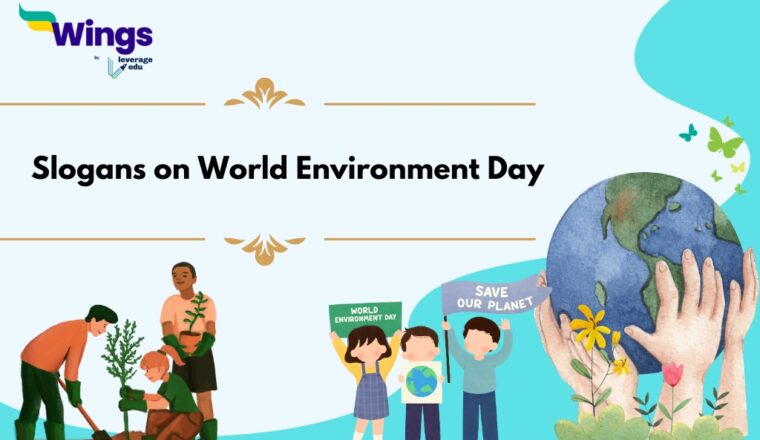 Environmental Conservation: Definition, Importance, UPSC