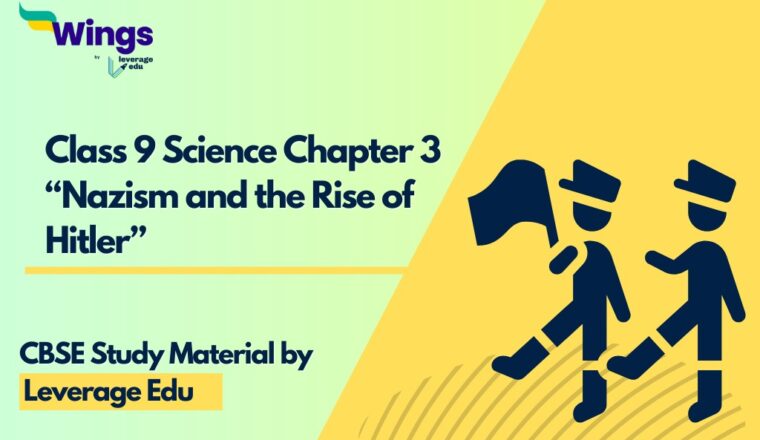 Top 11 Branches of History: Cultural, Political, Social, Arts ...