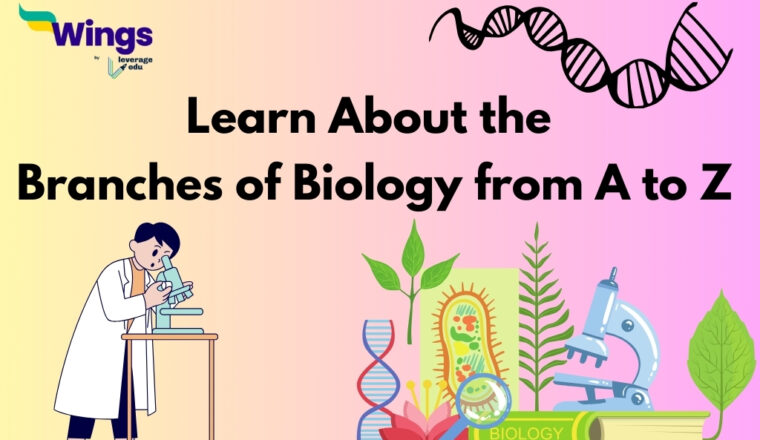 Courses After BiPC: After Inter BiPC Courses List 2025