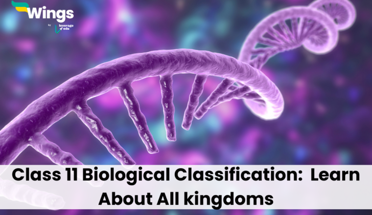 Courses After BiPC: After Inter BiPC Courses List 2025