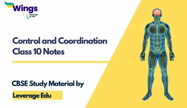 100+ ASL Topics for CBSE English 2025 for Speaking Test | Leverage Edu