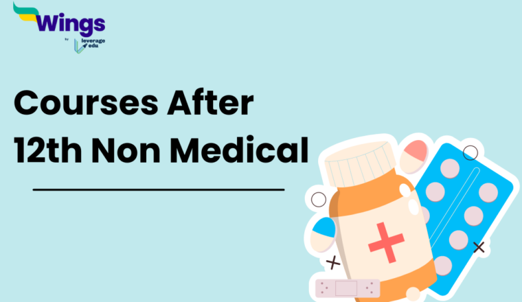 Complete List of BA Subjects with Specializations for 2025