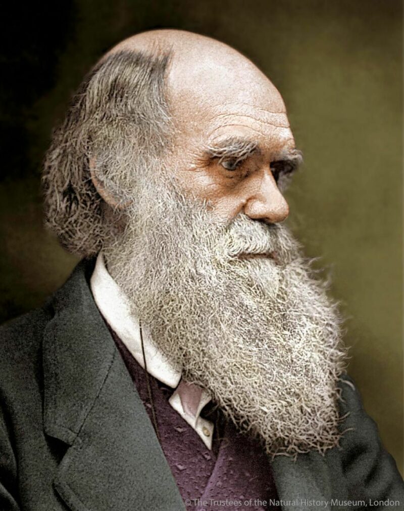 10 Greatest Writers of All Times & Their Best Selling Works - Leverage Edu