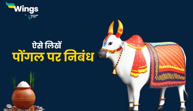 Mera Priya Khel Par Nibandh स्टूडेंट्स के लिए मेरा प्रिय खेल पर निबंध