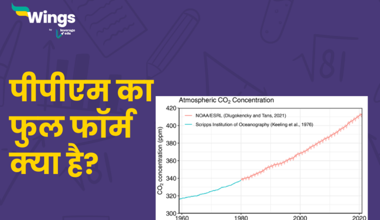 अंतरराष्ट्रीय योग दिवस पर निबंध 300 से 600 शब्दों में - Leverage Edu