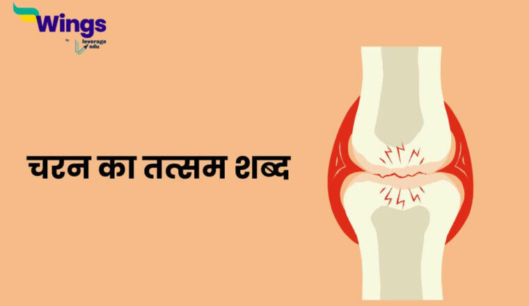 Hindi Grammar Archives - 528 का पृष्ठ 11 - Leverage Edu