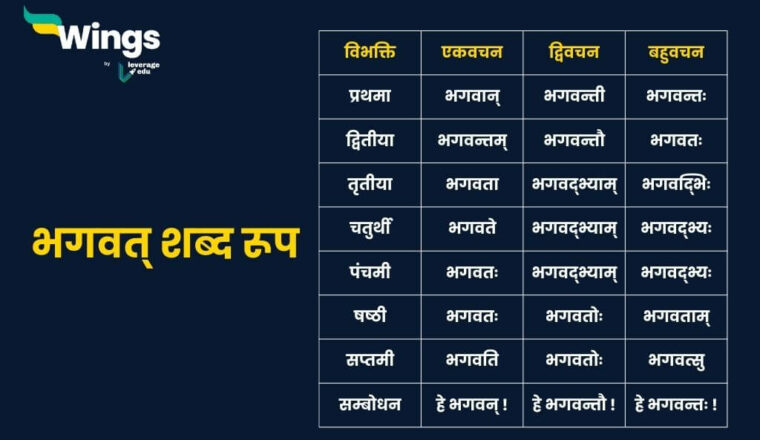 Shabd Roop Archives - Leverage Edu