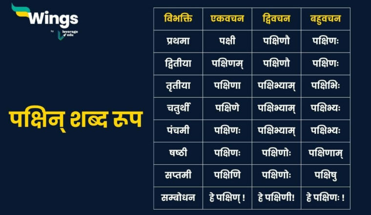 Shabd Roop Archives - Leverage Edu