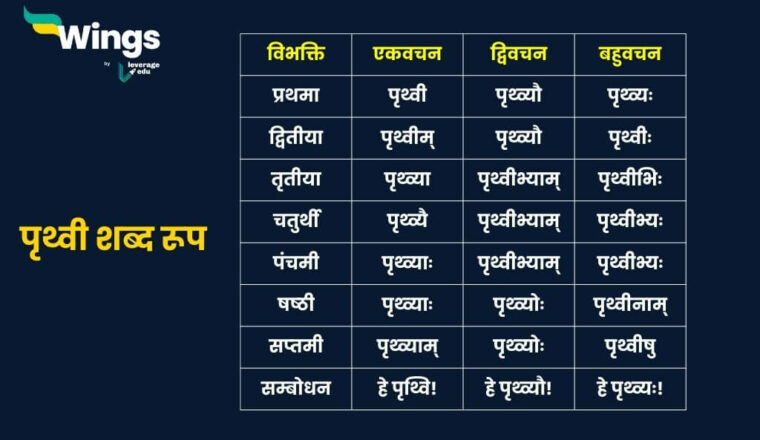 Shabd Roop Archives - Leverage Edu