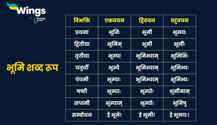 Shabd Roop Archives - Leverage Edu