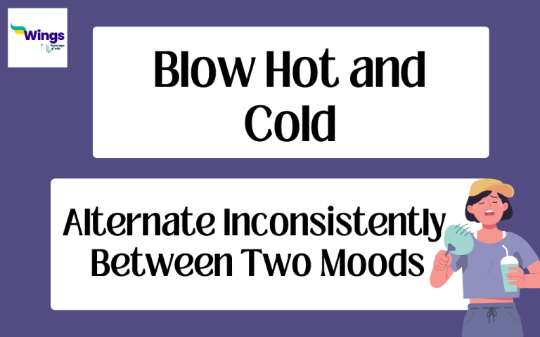Blow Hot and Cold Meaning, Examples, Synonyms - Leverage Edu Explore