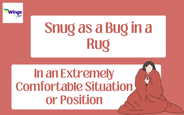 Snug as a Bug in a Rug Meaning, Examples, Synonyms | Leverage Edu Explore