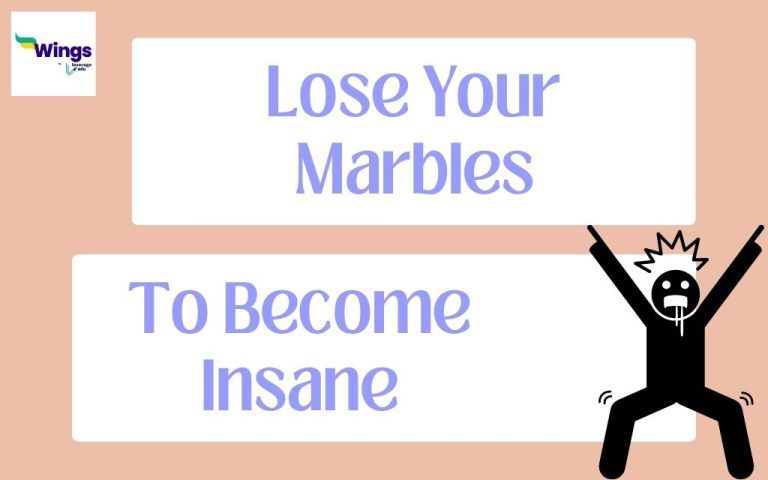 Lose Your Marbles Meaning, Examples, Synonyms | Leverage Edu Explore