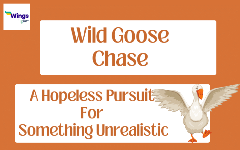 Wild Goose Chase Meaning, Examples, Synonyms | Leverage Edu Explore