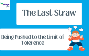 The Last Straw Meaning, Usage With Examples, Synonyms and Quiz ...