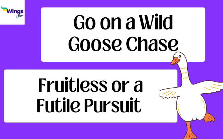 Go on a Wild Goose Chase Meaning with Example - Leverage Edu Explore