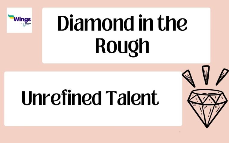 Diamond in the Rough Meaning, Examples and Synonyms |Leverage Edu Explore