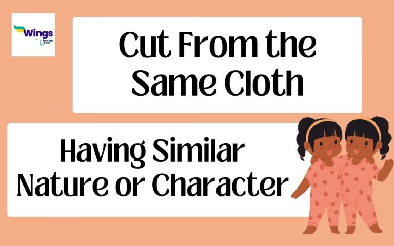 Cut From The Same Cloth Meaning, Synonyms, and Examples | Leverage Edu ...