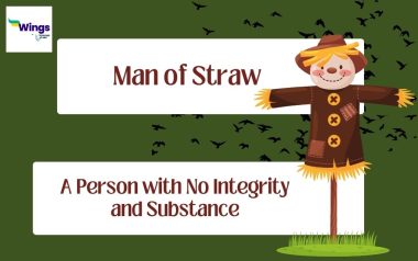 Man of Straw Meaning, Example, Synonyms - Leverage Edu Explore