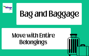 Bag and Baggage Meaning, Example, Synonyms | Leverage Edu Explore