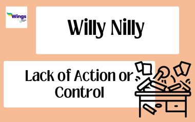 Willy Nilly Meaning, Synonyms with Example - Leverage Edu Explore