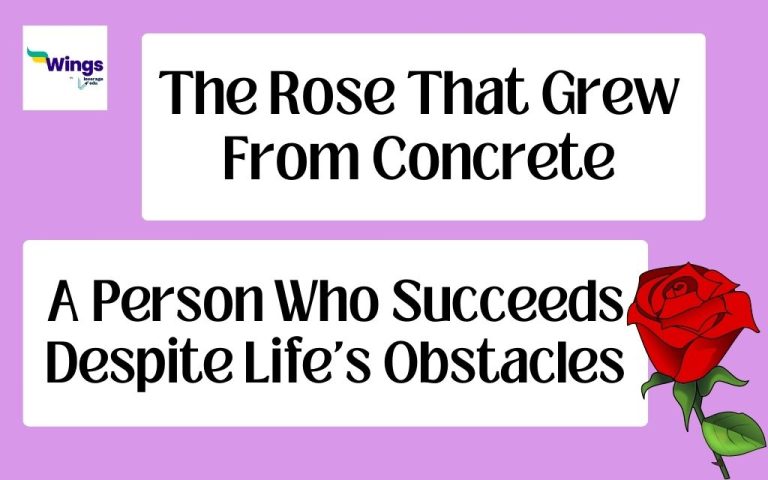 The Rose That Grew From Concrete Meaning, Synonyms, Examples | Leverage ...