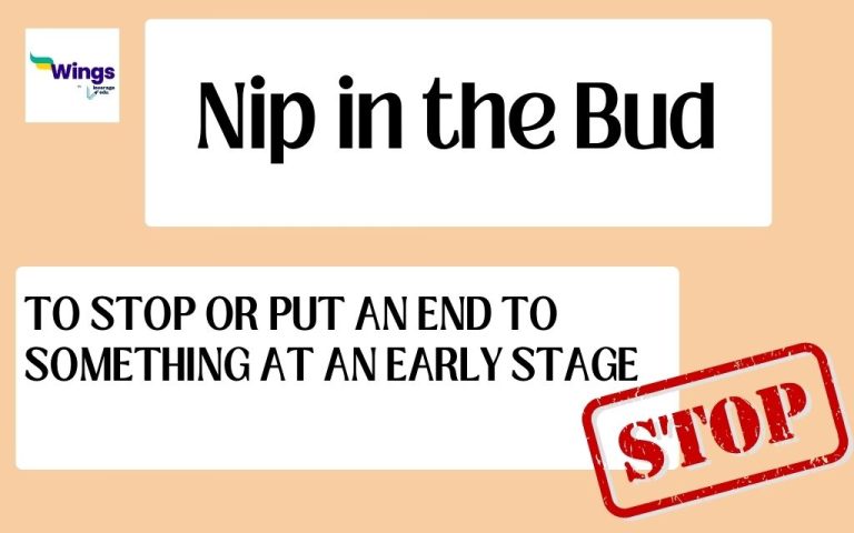 Nip in the Bud Idiom Meaning, Examples, Synonym - Leverage Edu Explore