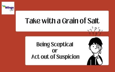 Take with a Grain of Salt Meaning, Definition, Example, Synonym