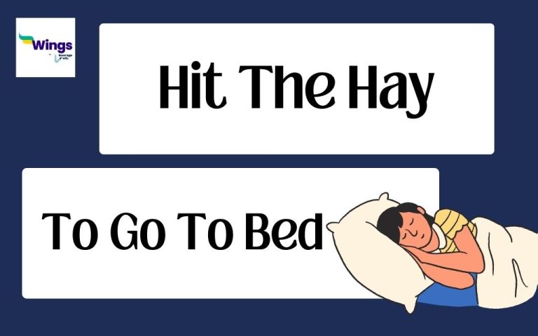 Hit the Hay Meaning, Synonyms, Examples | Leverage Edu Explore
