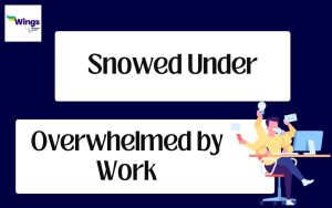 Snowed Under Meaning, Examples, Synonyms, and Quiz | Leverage Edu Explore