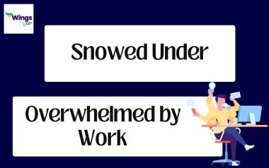 Snowed Under Meaning, Examples, Synonyms, and Quiz | Leverage Edu Explore