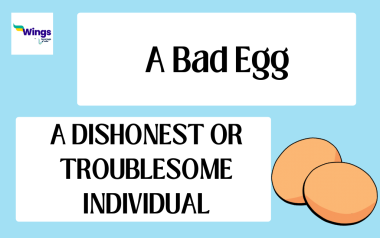 A Bad Egg Idiom Meaning, Examples, Synonyms - Leverage Edu Explore