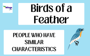 Birds of a Feather Idiom Meaning, Examples, Synonyms - Leverage Edu Explore